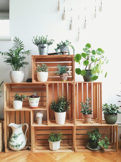 10 Easy & Beautiful Home Décor Ideas For Your Home - Qualcon Dreams